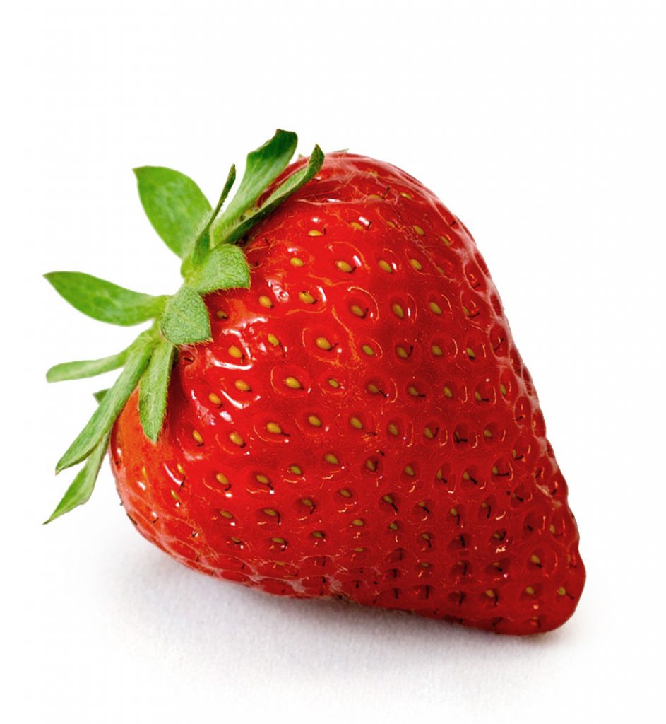 Fragola - Salvi Vivai Ricerca e Vendita di piante da frutto