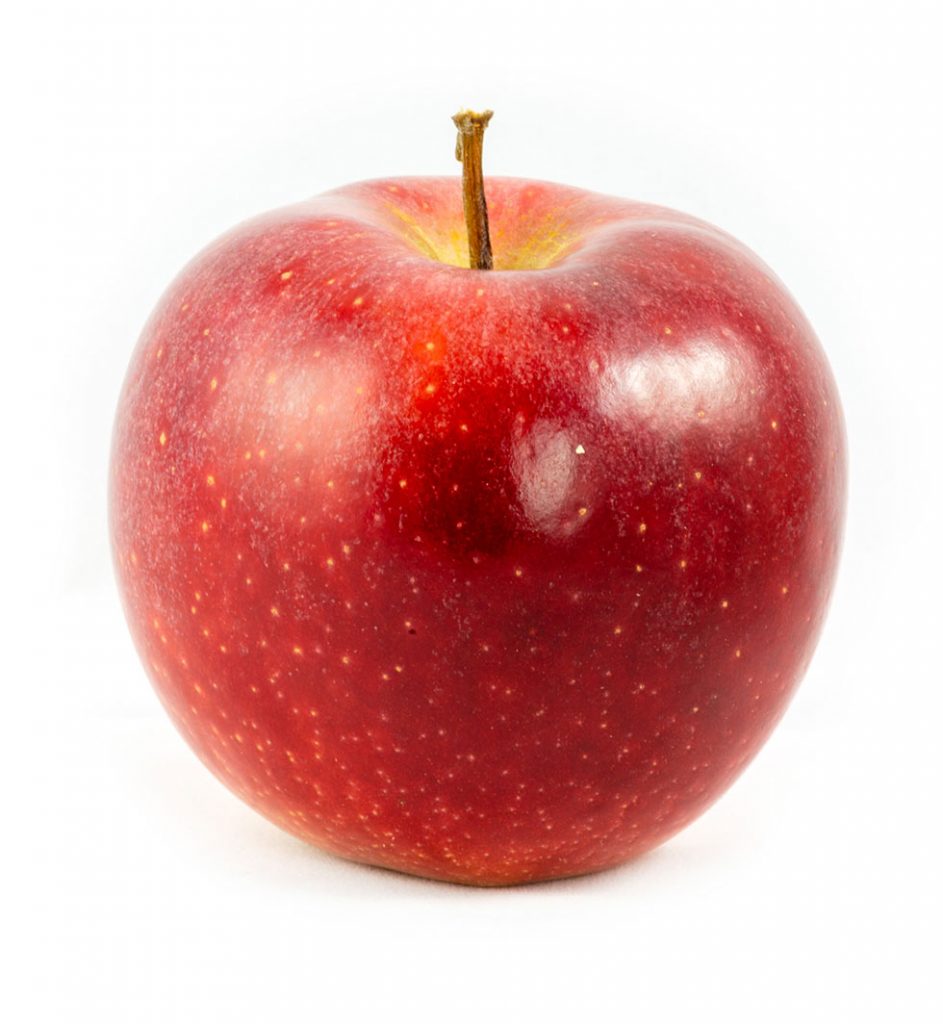 Melo - Salvi Vivai Ricerca e Vendita di piante da frutto